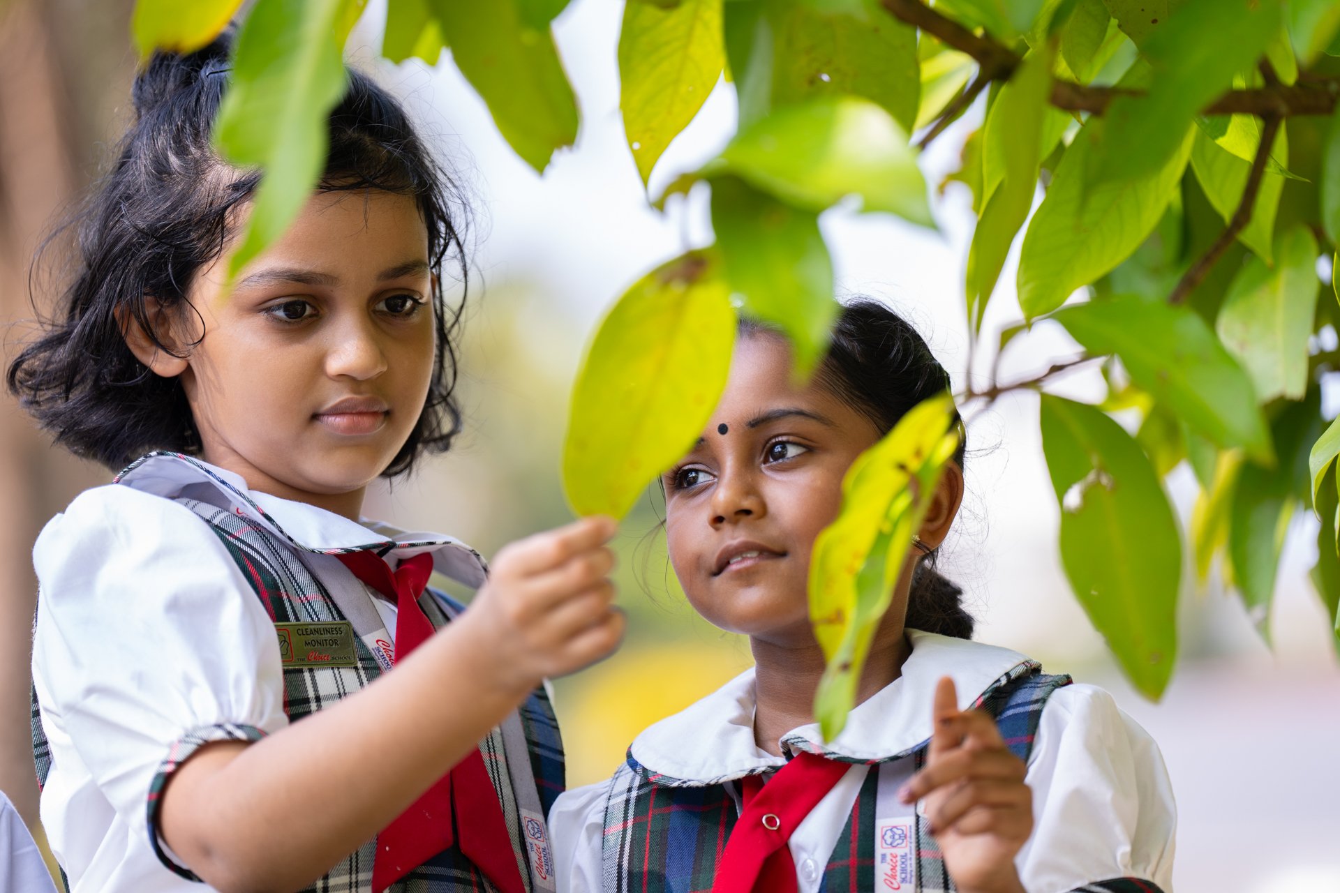 Primary Years Programme (PYP) - The Choice School IB Programme