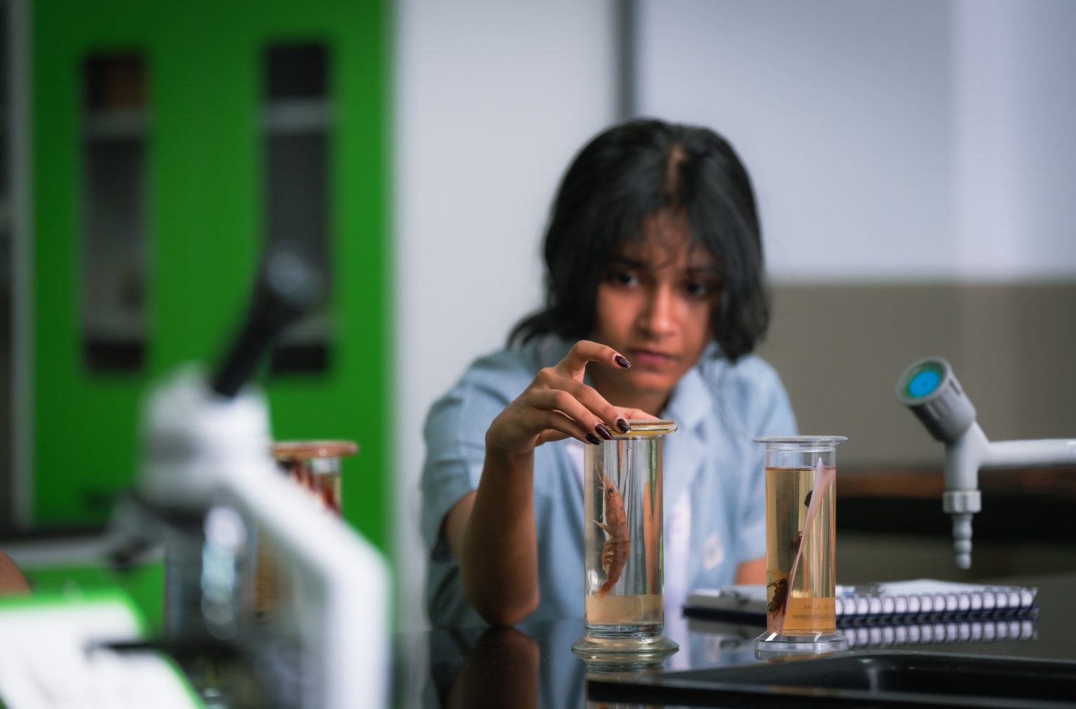 Our Pedagogy - The Choice School IB Programme